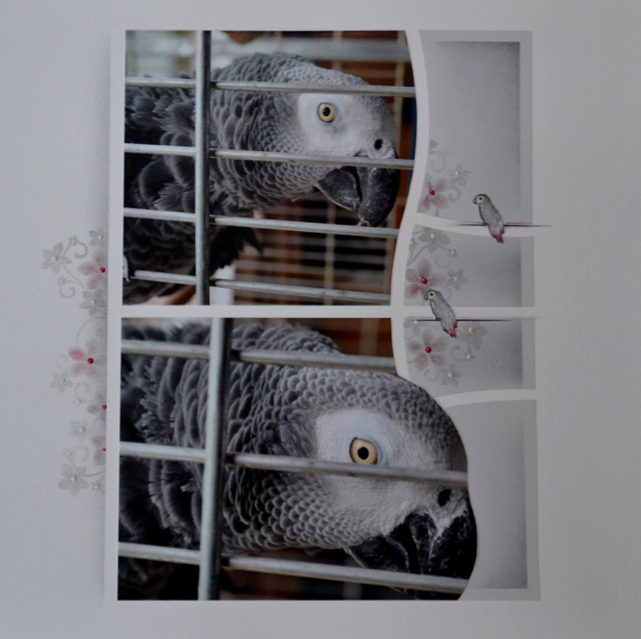 Bonjour Coco ! - Azzaworld